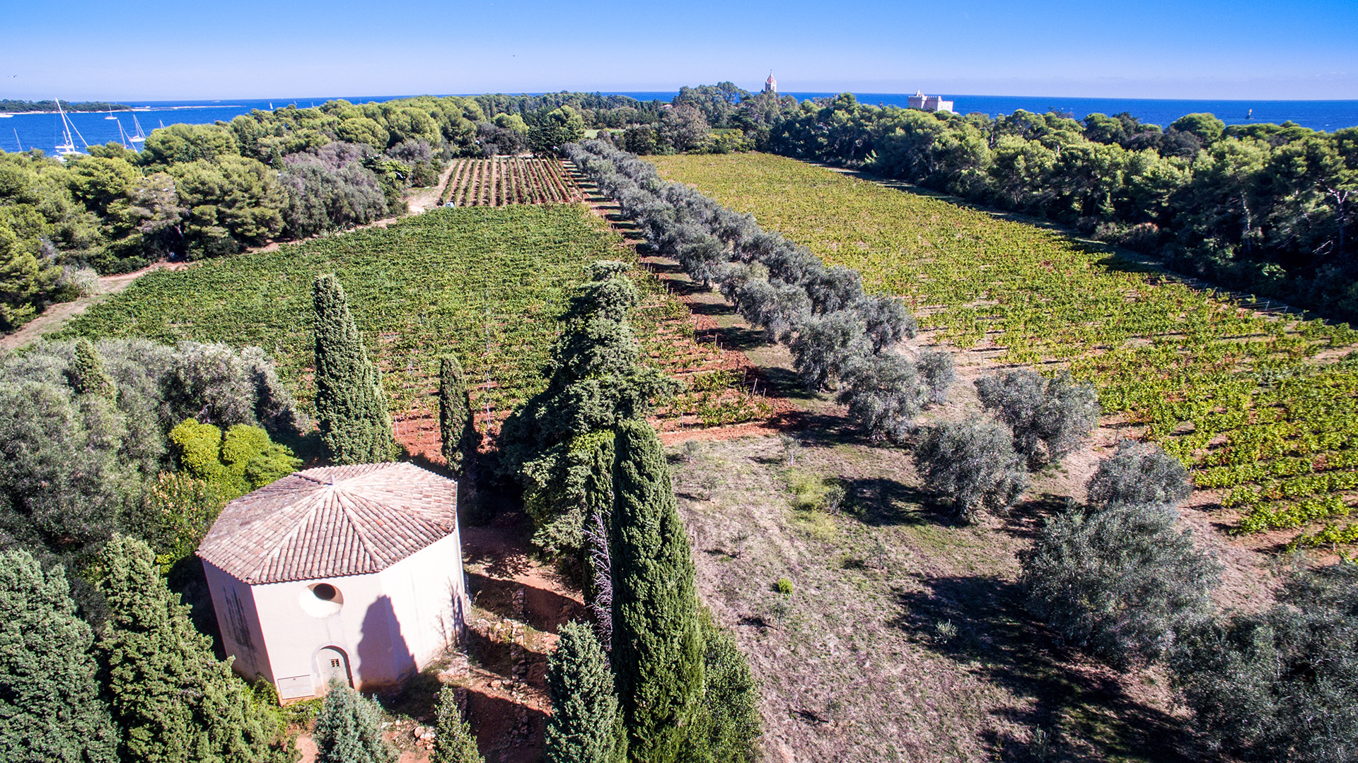 Île Saint-Honorat